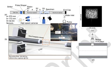 Underwater Shock Tube Setup A Schematic Showing Apparatus