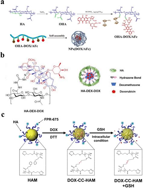 Hyaluronic Acid Hydrogels And Interpenetrating Networks At Ebony Butters Blog