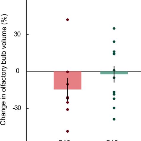 Neuronal Circuit Of The Olfactory System A A Picture Of The Mouse Download Scientific