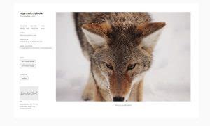How To Download Images From Google Docs Methods
