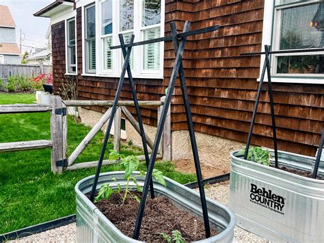 Make Easy Sturdy And Inexpensive Diy Tomato Cages Most Lovely Things