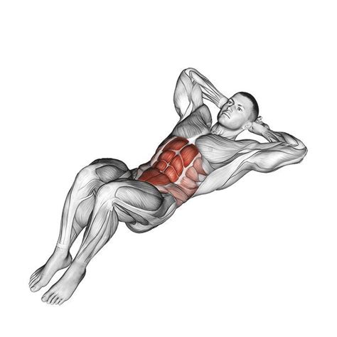 Crunches Workoutsthe Ultimate Guide