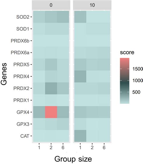 The Heatmap Was Generated To Visualise The Expression Levels Of All Download Scientific Diagram