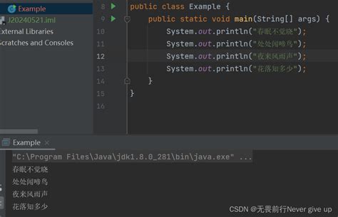 java程序逻辑控制 csdn博客