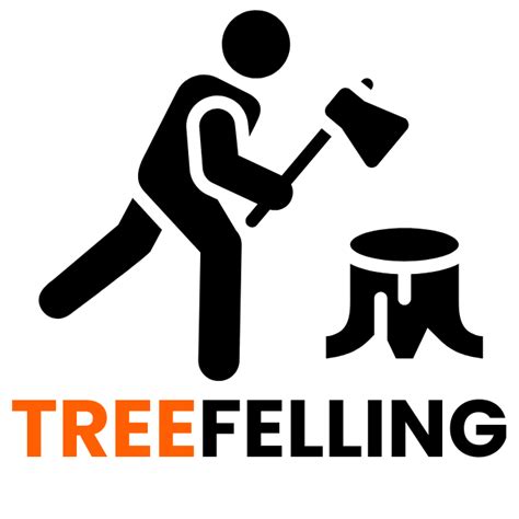 Tree Felling Bellville Tree Fellers Removal Cutting Stump Grinding Trimming Pruning