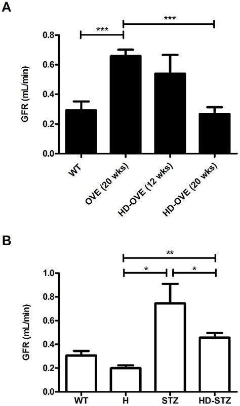 GFR Estimation Using FITC Inulin Clearance A GFR Was Estimated In A Download Scientific
