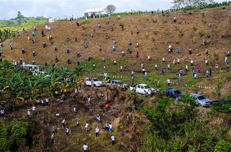 New World Record In The Philippines Planting 3 2 Million Trees In One