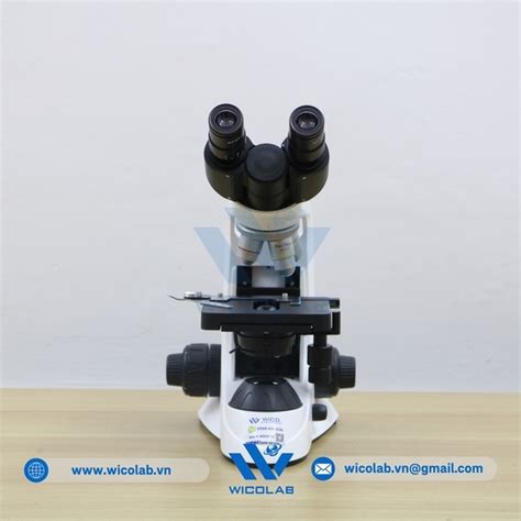 Kính Hiển Vi Sinh Học 2 Mắt Ico L1000pli Giá Tốt Wicolab Vn All For Lab