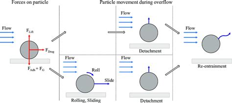 Schematic Illustration Of The Forces On A Particle And The Download Scientific Diagram