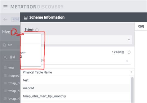 Screen Display Is Incorrect In Tooltip Of Schema Information · Issue