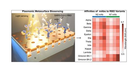 Affinity Exploration Of Sars Cov 2 Rbd Variants To Mab Functionalized