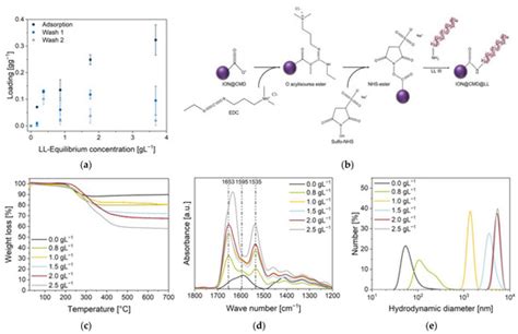 Carboxymethyl Dextran Coated Superparamagnetic Iron Oxide Nanoparticles