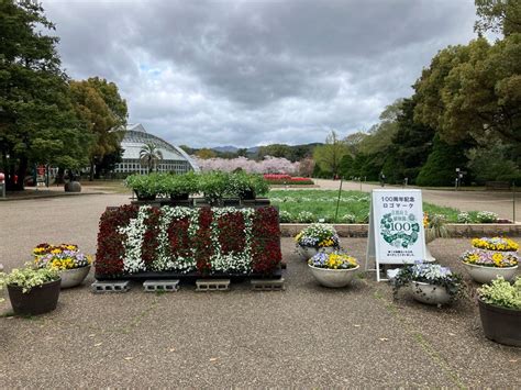 京都府立植物園に鹿が出たらしい 烏丸ママのﾌﾞﾛｸﾞ