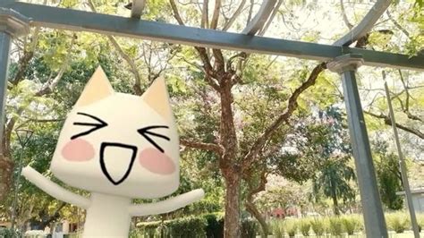 Pin By ★star Girl★ On Pins By You Cute Laptop Wallpaper Laptop Wallpaper Cute Wallpapers