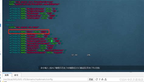 Linux 搭建金蝶中间件aas V9 保姆级金蝶apusic中间件部署 Csdn博客