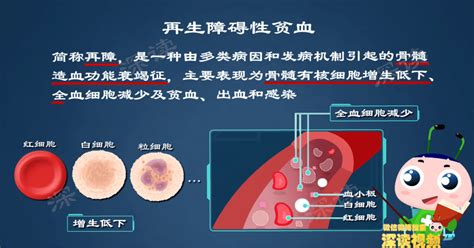 再生障碍性贫血怎么治疗，能治好吗？ 知乎