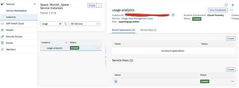 Trigger Alert For Monthly Cpea Credits Overuse In Sap Community
