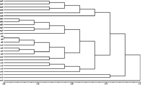 Nj Dendrogram Of Morphological Characters Download Scientific Diagram