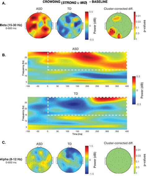 Event Related Oscillatory Activity Reflecting Detailed Oriented Download Scientific Diagram