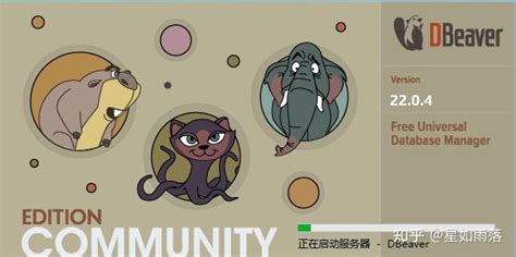 Win 安装DBeaver连接MySQL 导入和导出数据库详细教程 知乎