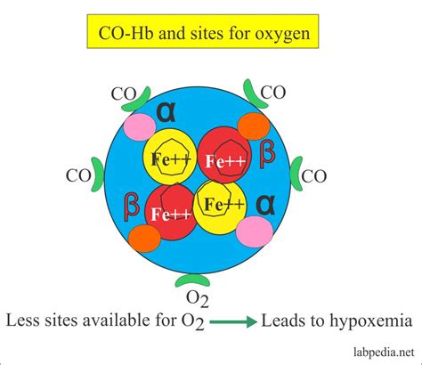 Carboxyhemoglobin Cohb Carbon Monoxide Co Poisoning