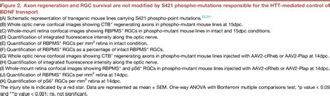 Figure 2 From Customization Of The Translational Complex Regulates Mrna