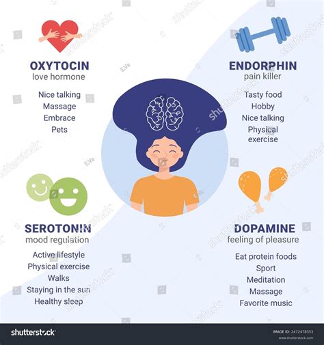 Scheme Happiness Hormones Oxytocin Serotonin Dopamine Stock Vector