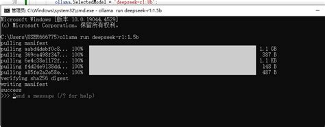 如何在Windows下离线部署DeepSeek并以WebApi形式调用 zhaotianff 博客园