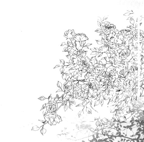 Sketch Of A Tree With Lush Leaves