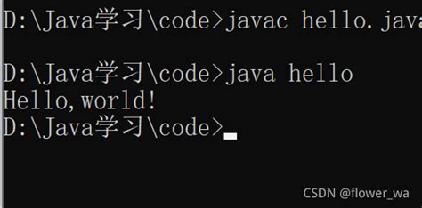 Java编程：hello World入门指南 Csdn博客