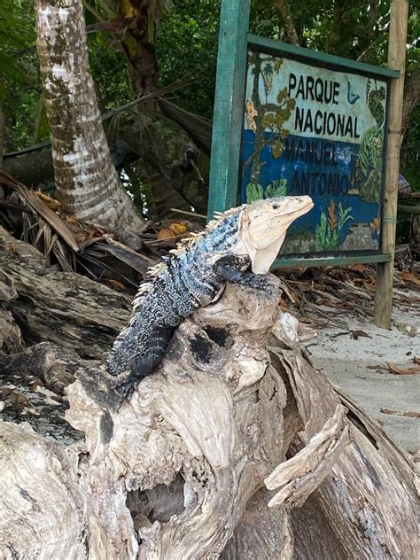 Hive Of Talents 🔥 Hot On Linkedin Remote Usd Dataanalyst Devops Azure Fullstack