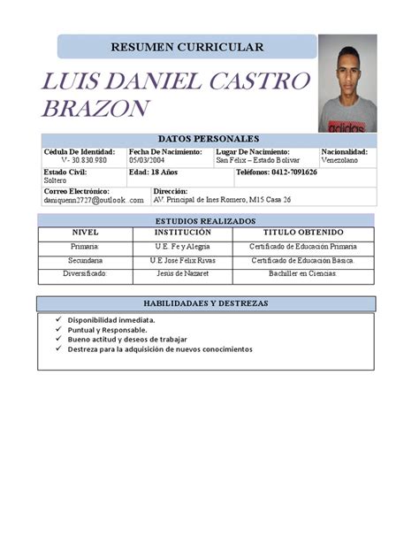 Resumen Curricular Pdf