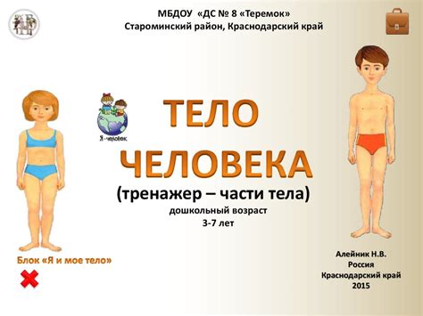 Тело человека (тренажер – части тела) - презентация онлайн