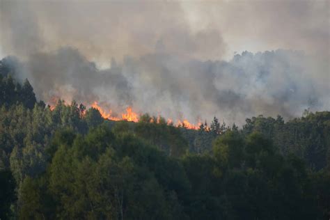 Un Incendio Ya Controlado Quema 10 Hectáreas En Vilalba Enfoques