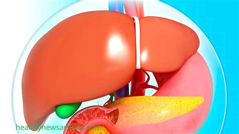 7 Ways To Detox And Cleanse Your Liver Naturally Healthy News Articles
