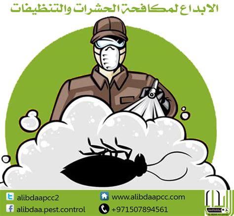 الصور شركة الابداع لمكافحة الحشرات والتنظيفات