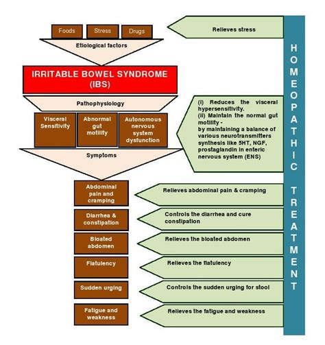 Homeopathy In Irritable Bowel Syndrome