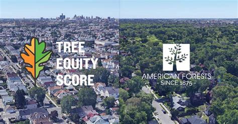 Find Your Score And Help Create Tree Equity In Cities And Towns Across America In Urban