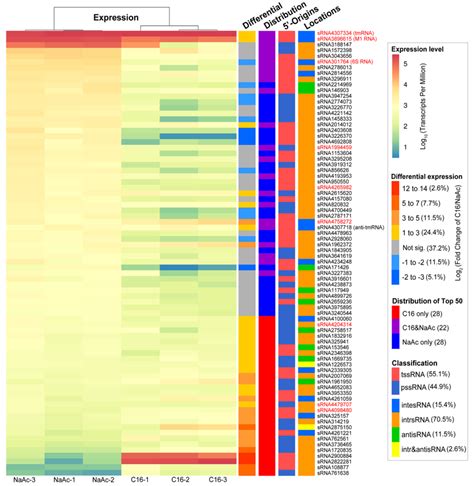 Expression Of The Top 50 Srnas In Alkane And Non Alkane Conditions Download Scientific Diagram