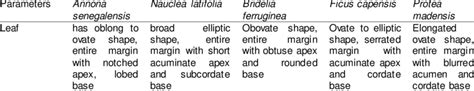 Leaf Morphological Features Of The Selected Plants Download