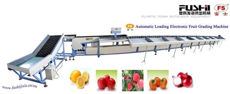 Fruit Grading And Sorting Lines Fruit Washing And Sorting Machine For