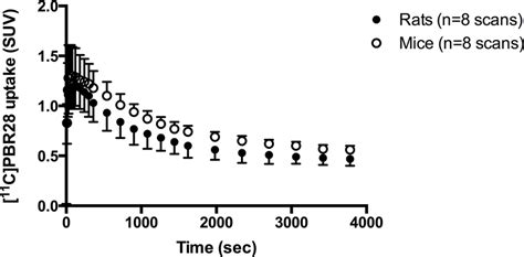 Total Brain Time Activity Curves Of 11c Pbr28 For Rats And Mice