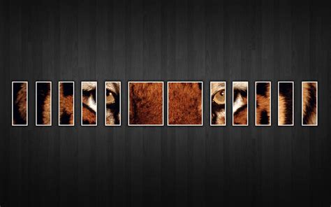 Facebook Cover Wallpapers Top Free Facebook Cover Backgrounds Wallpaperaccess