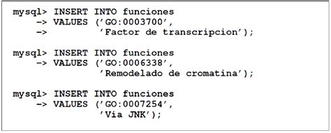 Gesti N De Datos Insertar Y Manipular Datos En Las Tablas