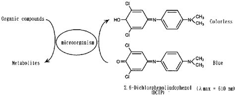 Principle Of Biochemical Oxygen Demand Determination Using Dcip By The Download Scientific
