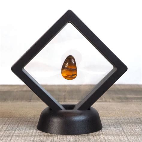 Myanmar Amber With Cockroach Insect Inclusion In Floating Display Frame