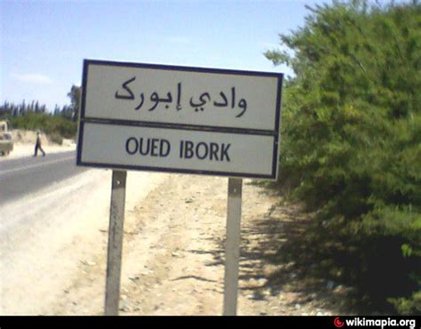 Pont Sur Oued Ibork