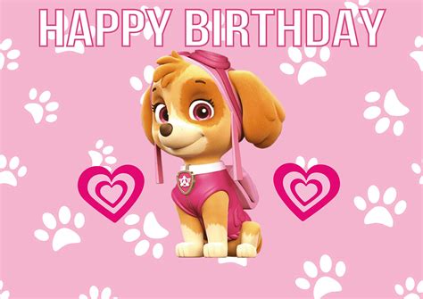 Escudos Paw Patrol Skye Paw Patrol Costume Skye Paw P