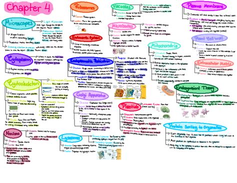 Notes Biochem ¥ ¥ 8 É Is Os Z P S → Ee ¥ S S ¥f• ≈ S O Ae ¥ ¥ ±