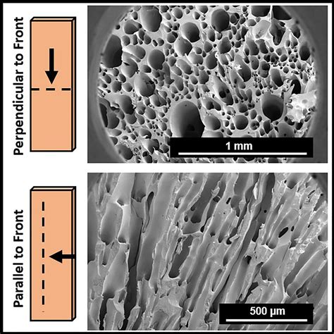 High Performance Foams And Their Nanocomposites Generated Via Liquid State Frontal
